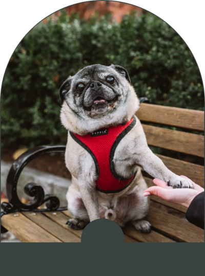 Mei Lin Barral Photography