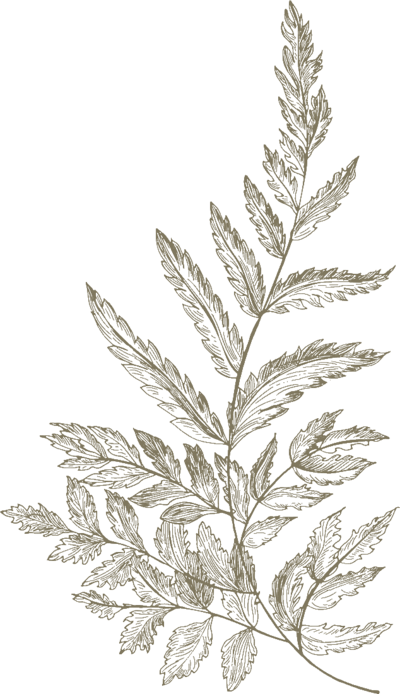 Wedding Photography Portfolio | Visual Grammar