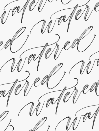 Calligraphy + Guides | Shop Saffron Avenue, Brand Styling, Modern ...