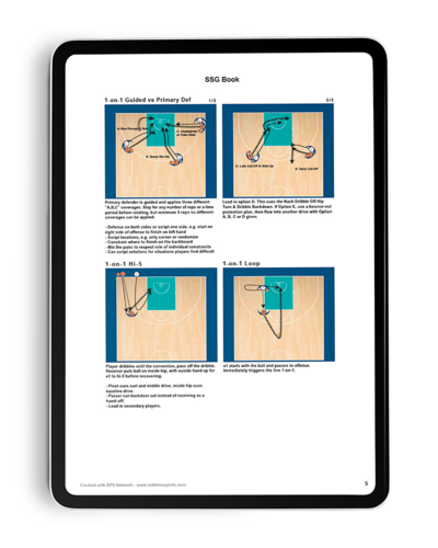 Small-Sided Games Book