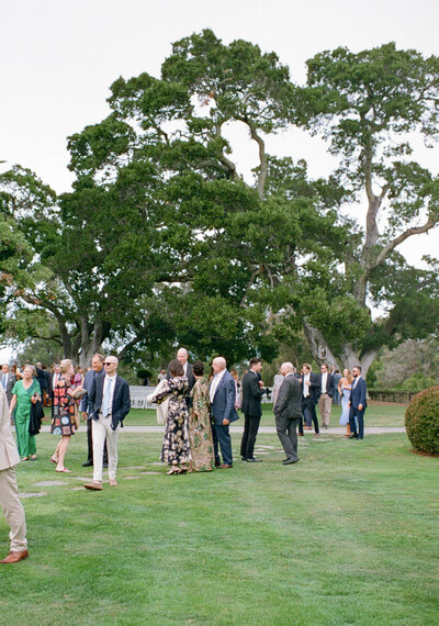 Amanda Pool Photo | Digital & film wedding photographer