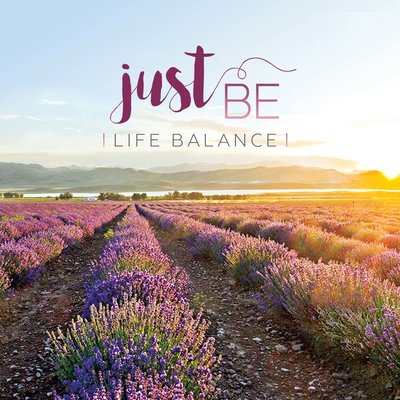 Portfolio | EverMint Design Studio