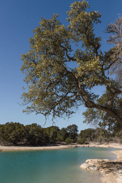 The Videre Estate wedding venue- Wimberley, Texas