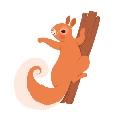 Focus Forward | ADHD Coaching for Kids & Adults