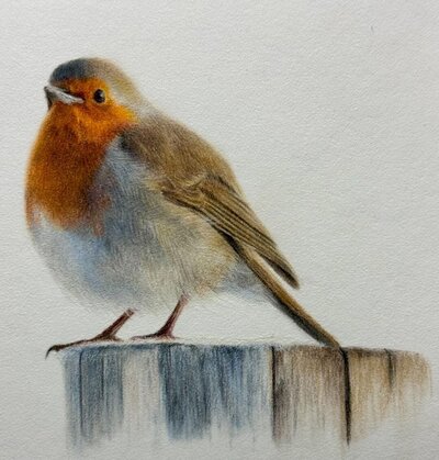 Coloured Pencil Courses & Products | Bonny Snowdon