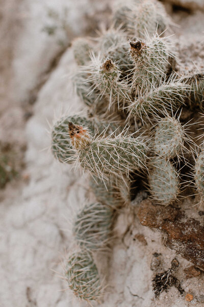 Home | Revel West Studio