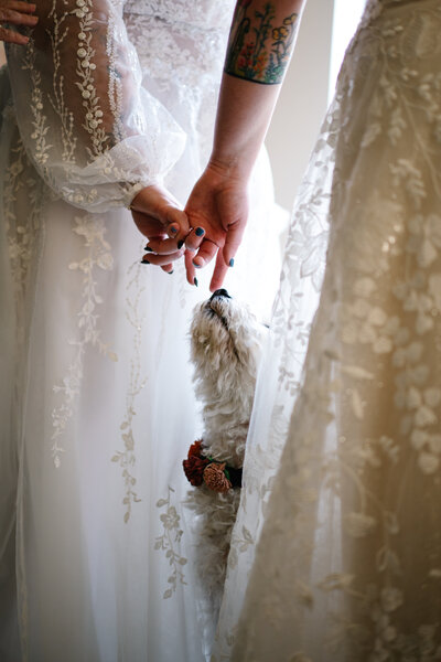 LGBTQ Wedding Photographer And Videographer |Hey Love Studio