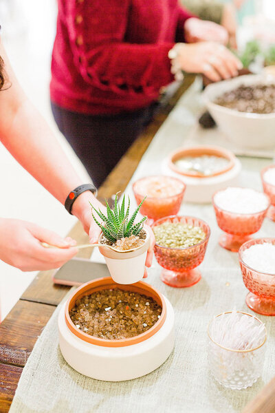 Succulent Bar Services