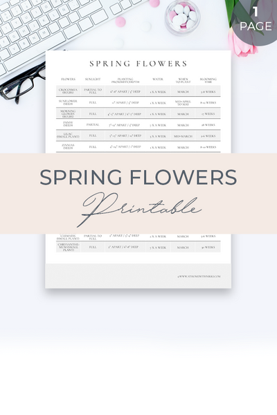 Shop | At Home With Nikki