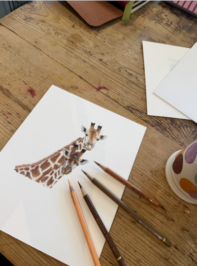 Coloured Pencil Week 2026 | African Wildlife Art Event by Bonny Snowdon