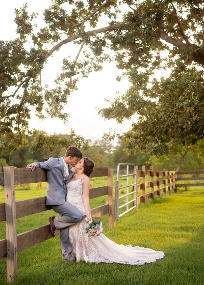 Home [robinseymourphotography.com]