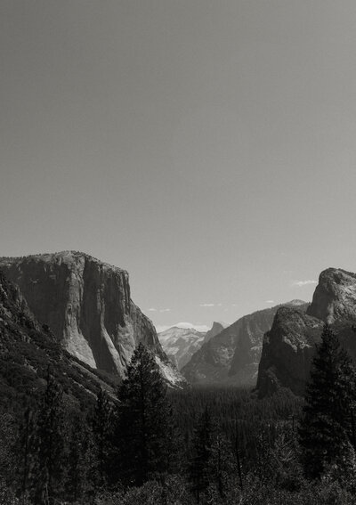 Indianapolis Wedding Photographer | Curious Courtneys photo