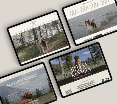 Eye-Catching Dog Breeder Website Templates | Fetch Studio