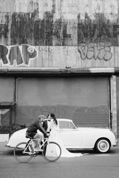 Bo Shim | Experience