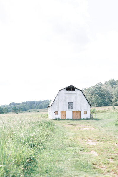 Rachel Parsons Photography