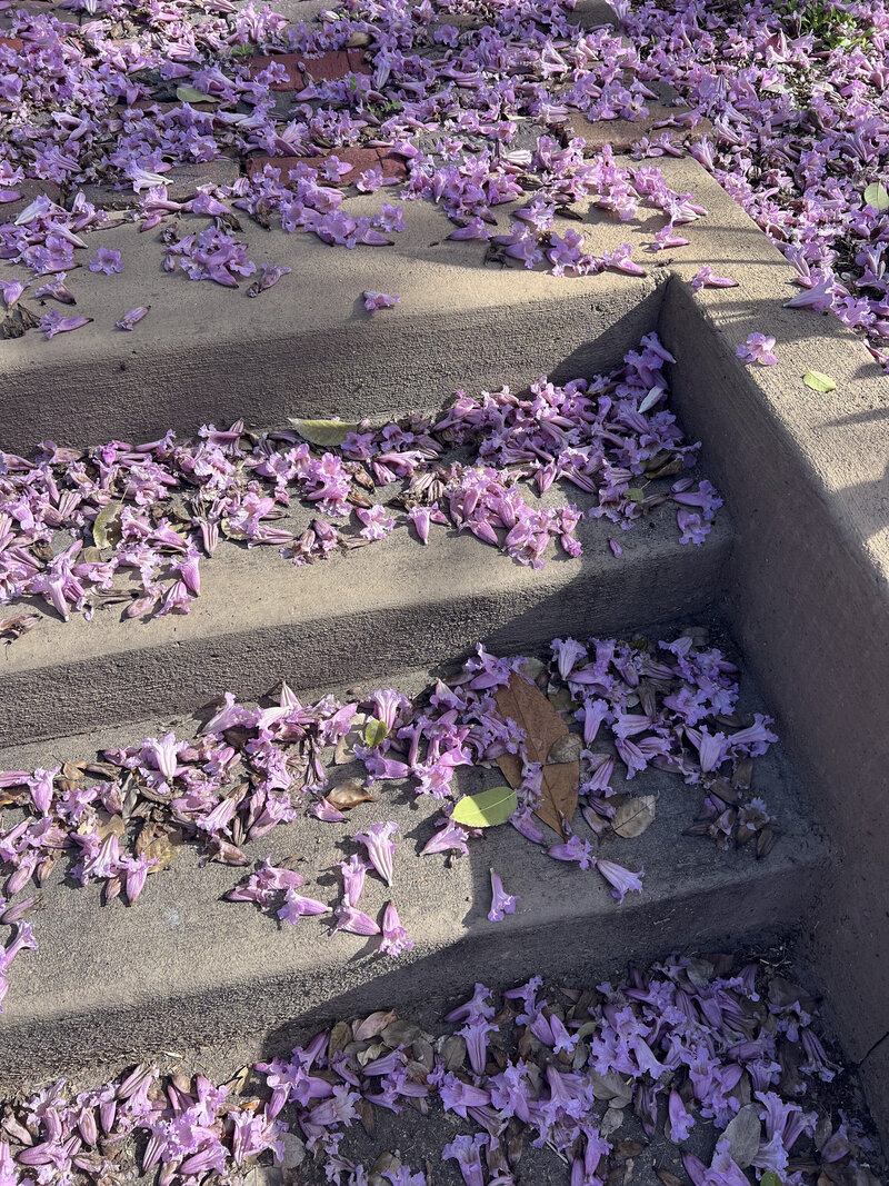 Just the Inserts | About