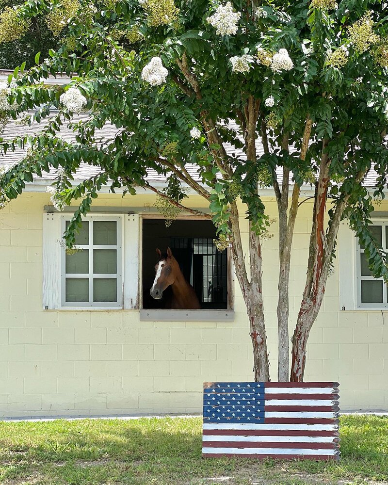 Next Level Farm - Ocala, Florida