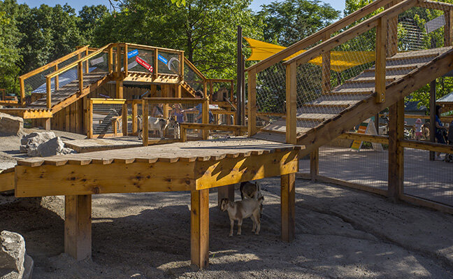 Kansas City Zoo Goat and Donkey Exhibit | MegaKC — Kansas City Zoo