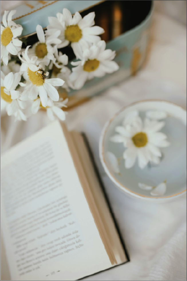 Insightfully You Psychology | Registered Psychologist