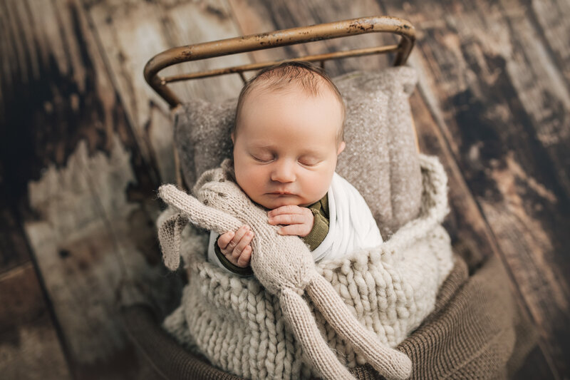 Life Lab Photography | Te Awamutu Photographer