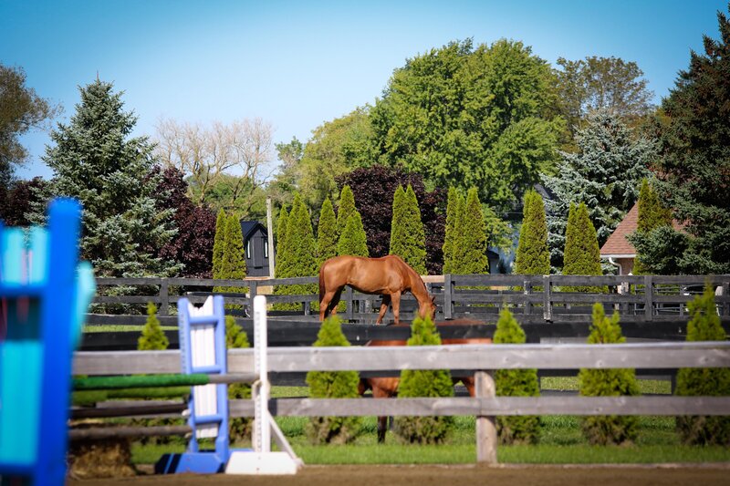 Meet the Antrim Team