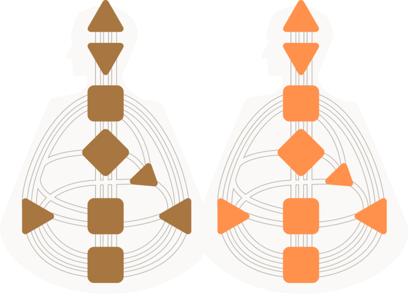 The Wild Pixel | Human Design Offerings and Readings