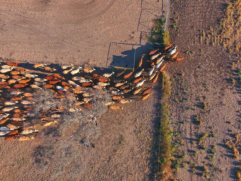 Home - RFCS Victoria West