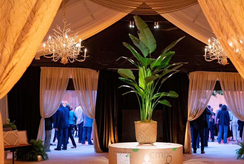Event Design & Decor in Rhode Island - Drape Art Designs