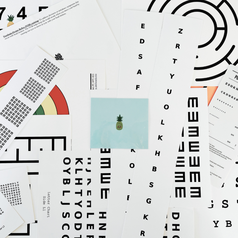 360 Neuro Health: Strategies in Vestibular-Vision-Concussion