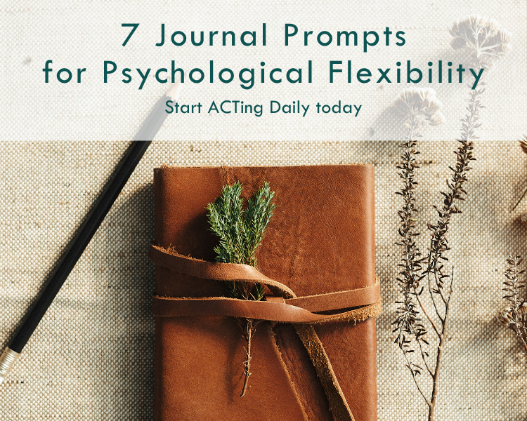 ACT Daily Journal | Book from Dr. Diana Hill | Wise Effort