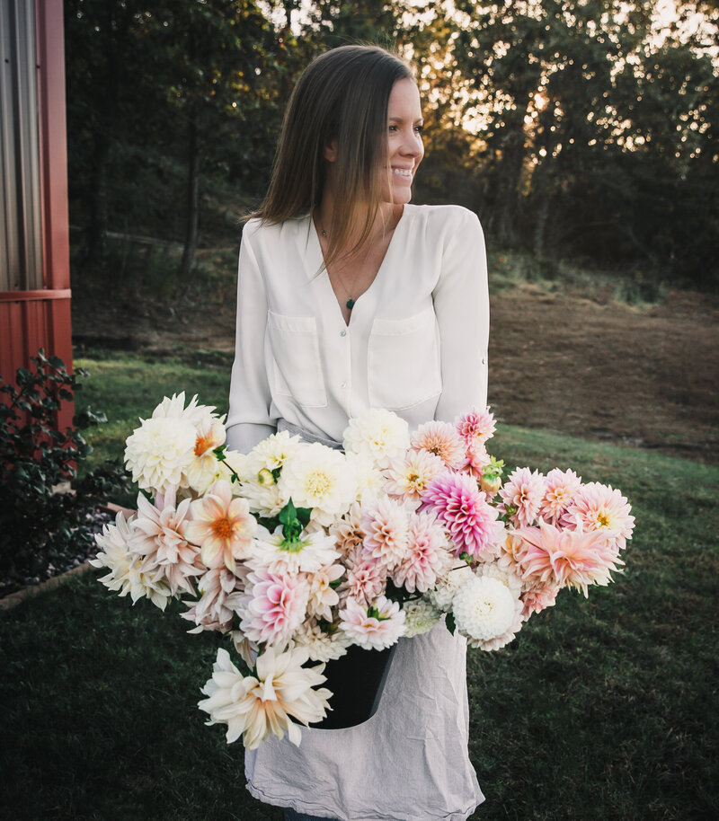 All Dahlias - Petal Back Farm