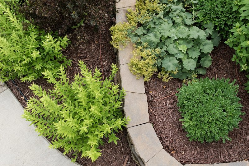 Central Iowa Landscape Designer | Red Fern Landscape Design