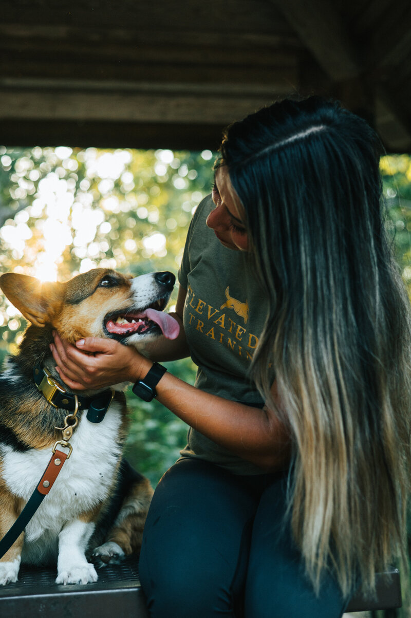 Elevate Dog Training Club – Houston’s Certified Behavior Consultant