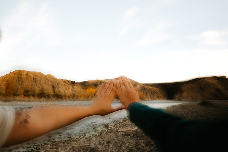 Wildly Connected Photography