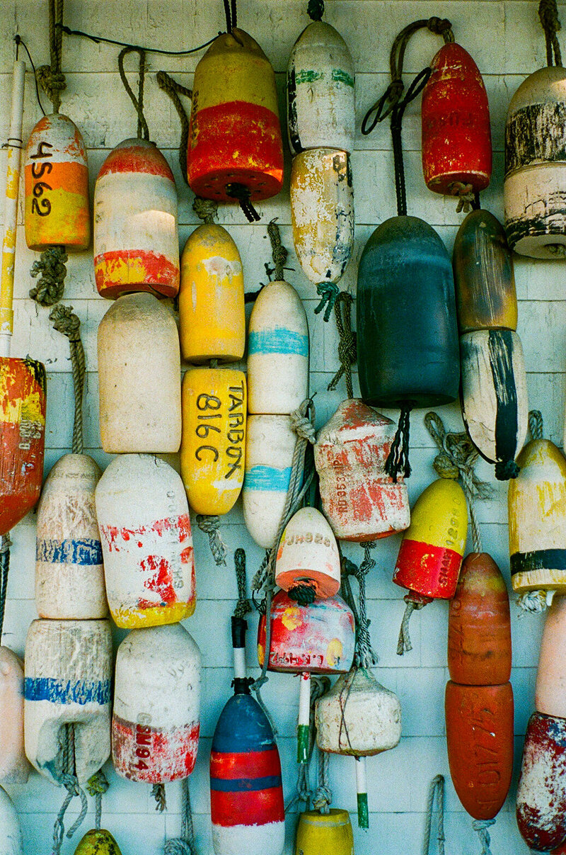 Charlotte Wedding Photographers - Lauren Rosenau Photography