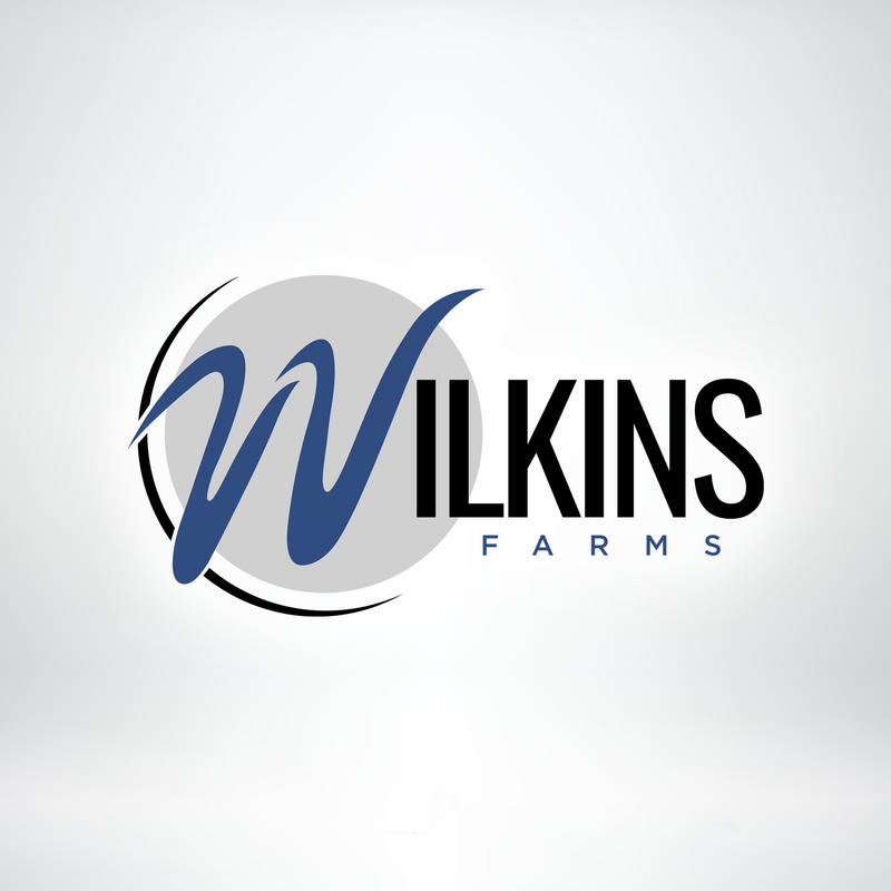 Graphic Design - Melissa Photography & Design