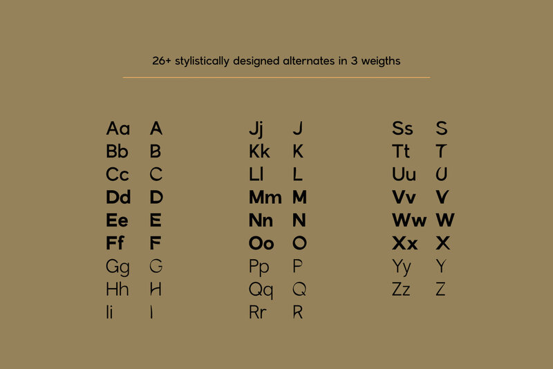 Karl – Cool Sans with Unique Alternates by Local Desk Design