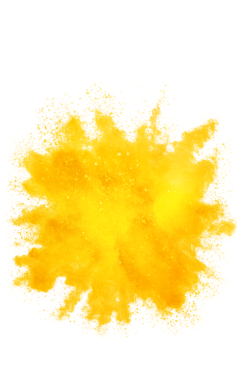 Wild Courage by Jenny Wood