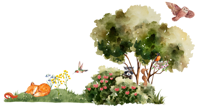 Home [rockfishwildlifesanctuary.org]