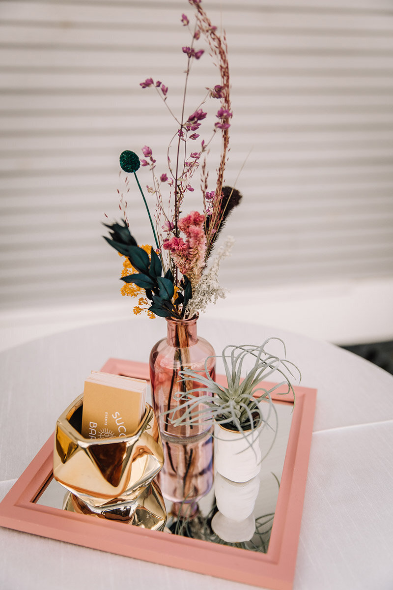 Home [succulentbar.com]