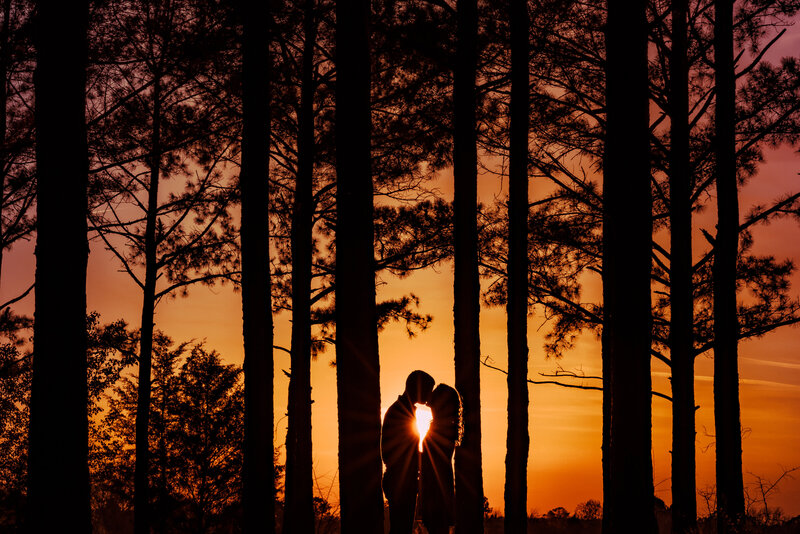 Home [movingmountainsstudios.com]