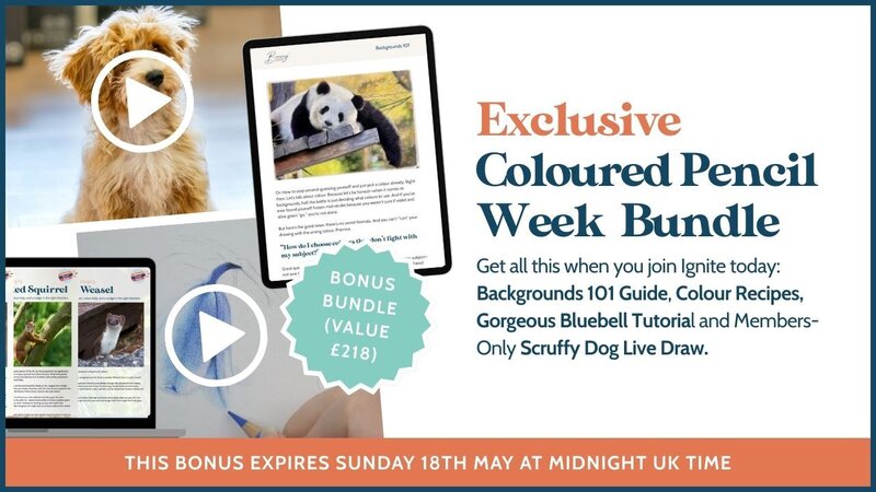 Join The Ignite Membership - bonnysnowdonacademy.com