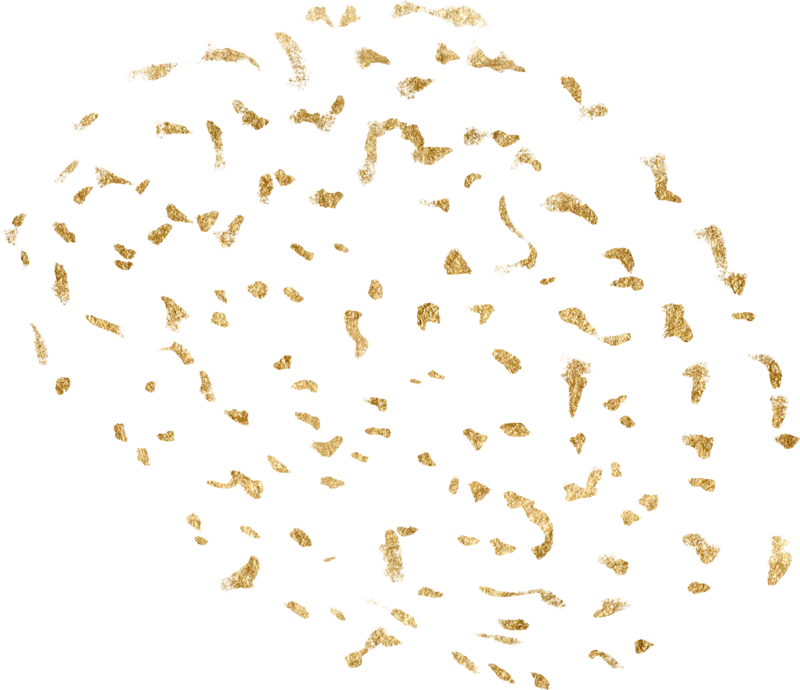 Westfield Family Photography | Nightingale and Willow Photography