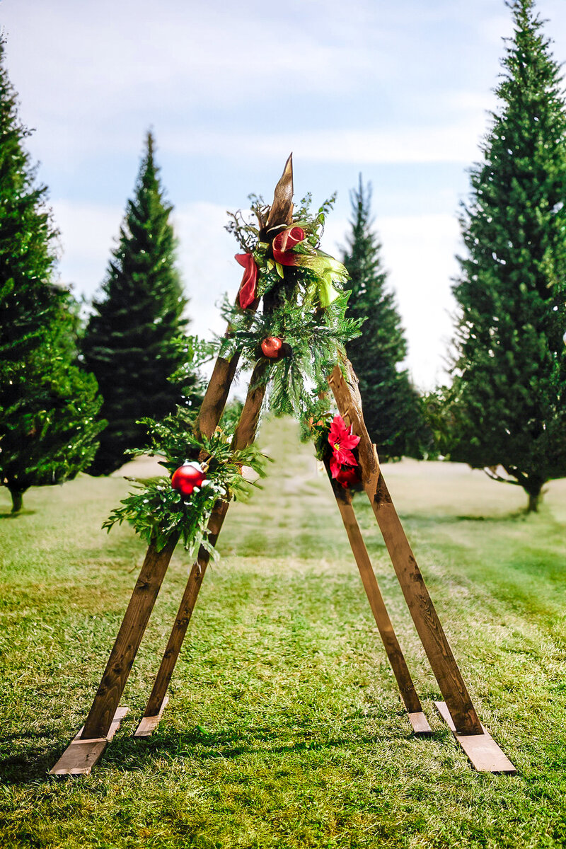 Long Island tree farm holiday sessions