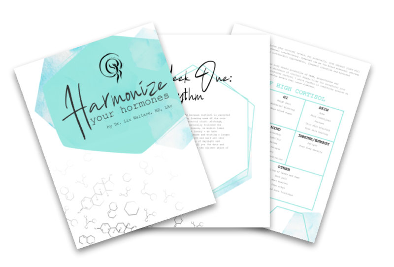 Guidebook Template