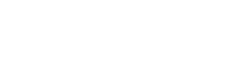 Momentum to Millions with Julie Steelman