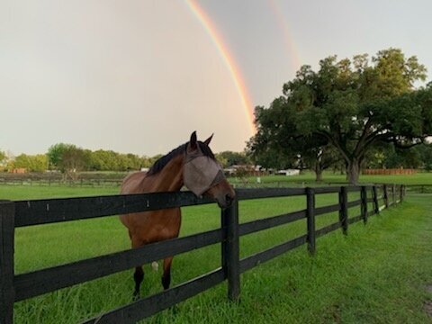 Next Level Farm - Ocala, Florida