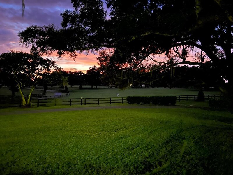 Next Level Farm - Ocala, Florida