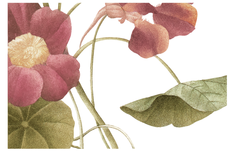 Keli Photography | Liam Farrell & Kel Kleidman | Kingston NY