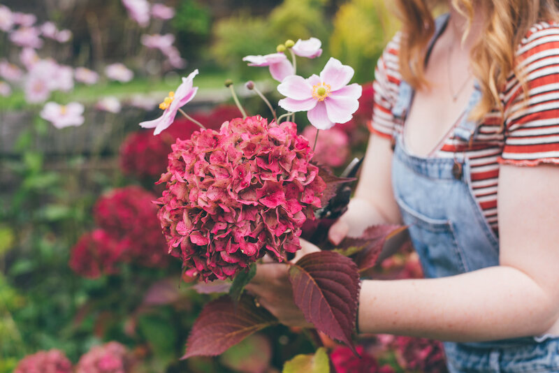 Small Business Branding & Logo Design | Lemon & Birch